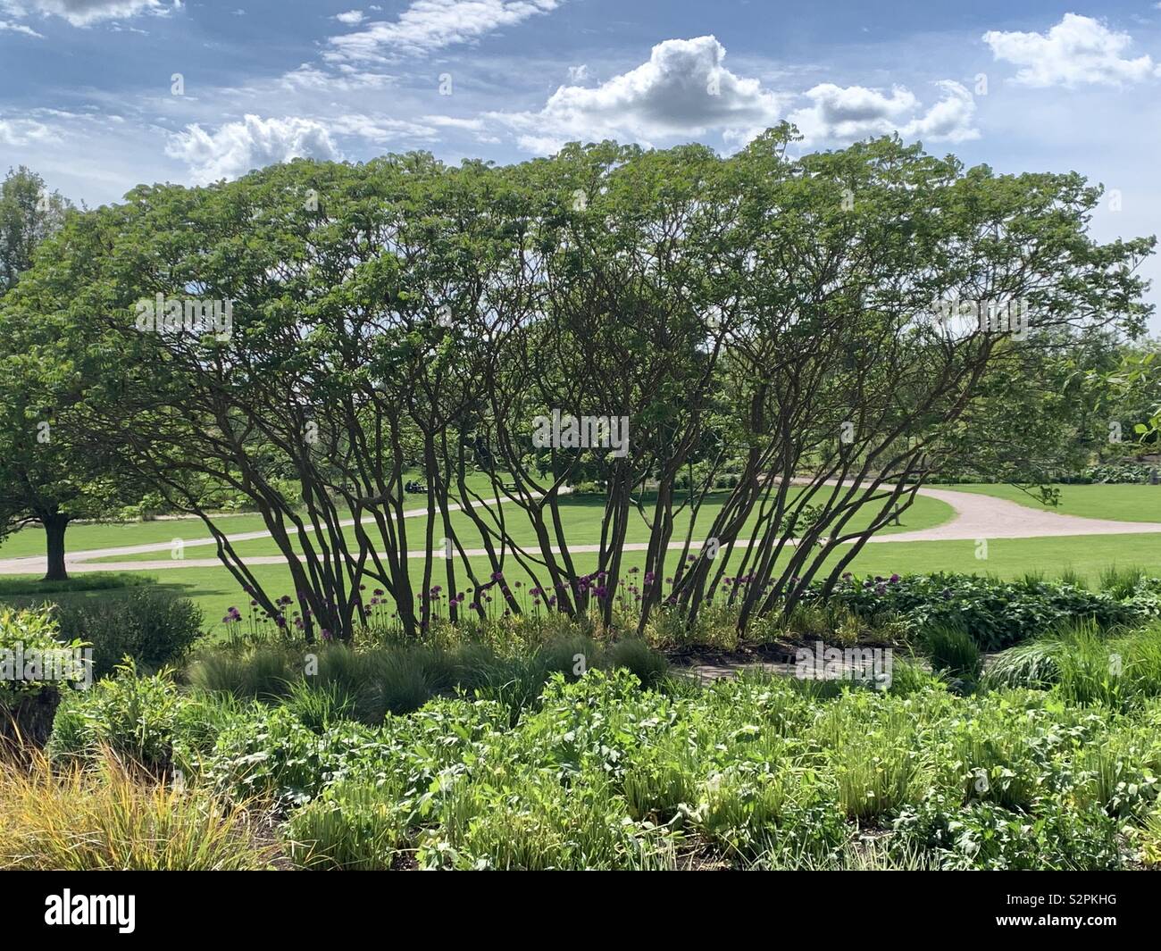 Hyde hall rhs garden hi-res stock photography and images - Alamy