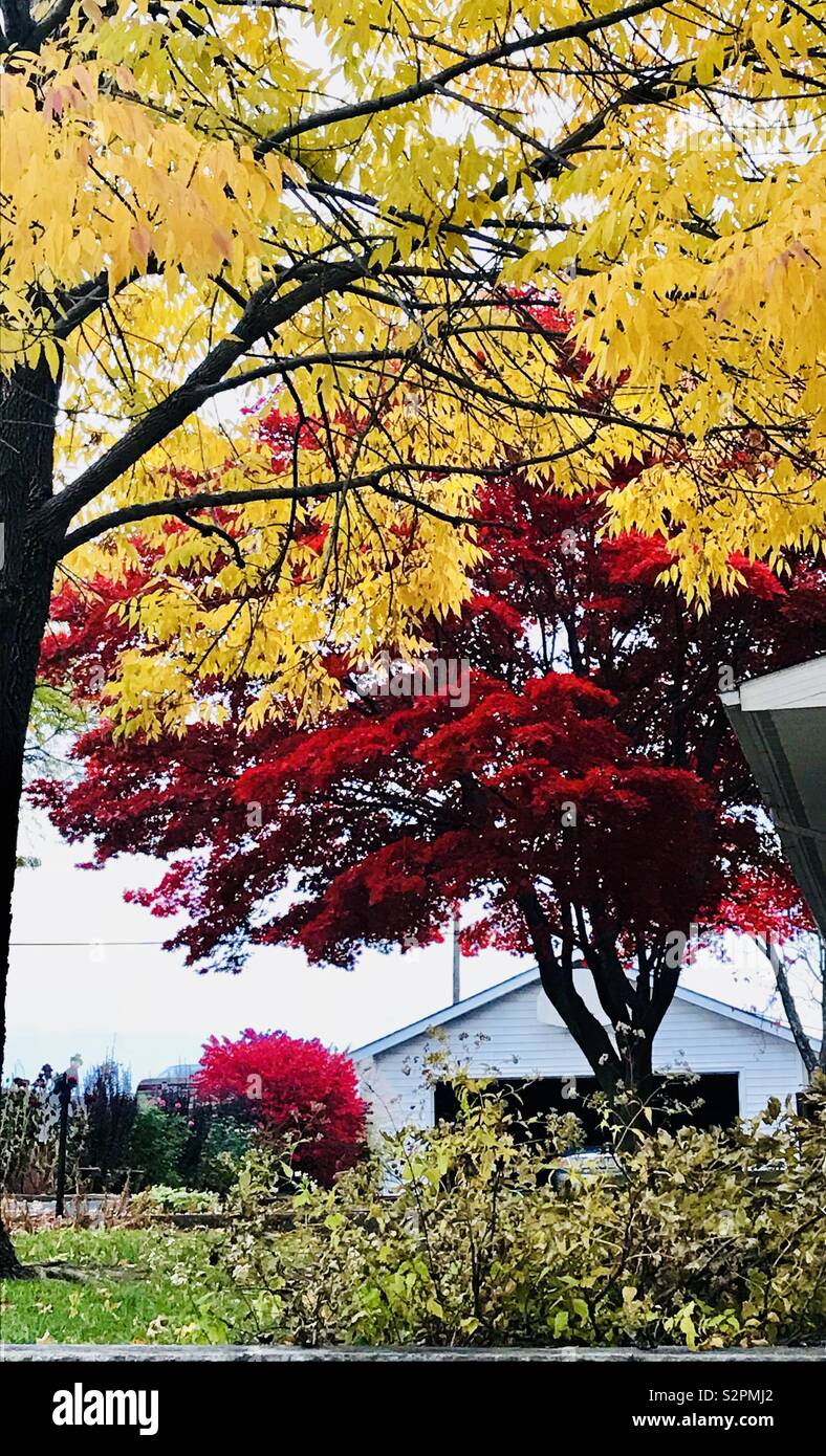 Missouri outdoors hi-res stock photography and images - Alamy