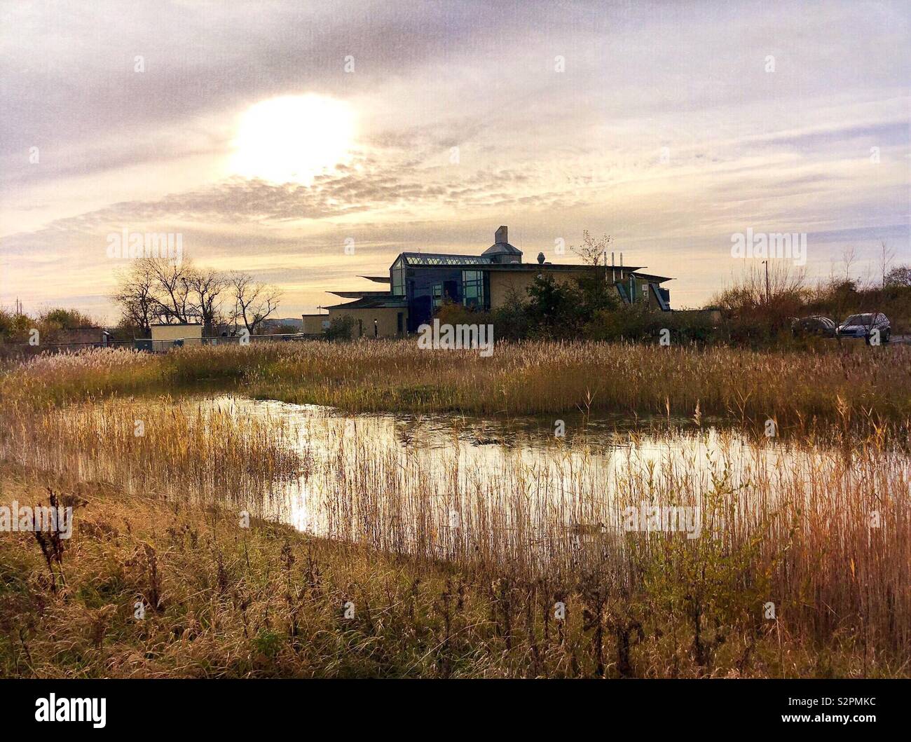 Rspb saltholme nature reserve hi-res stock photography and images - Alamy