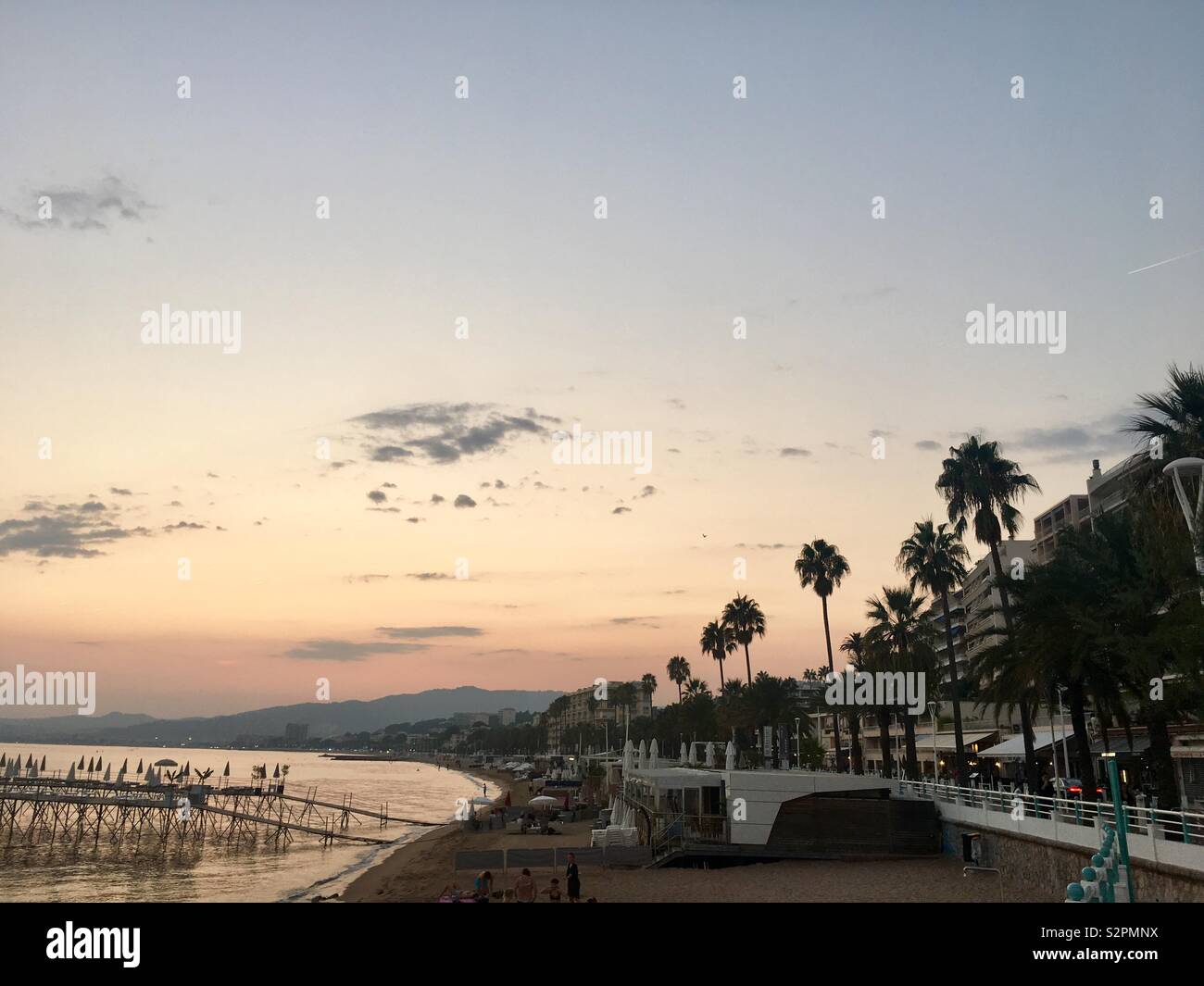Cannes palm trees hi-res stock photography and images - Alamy