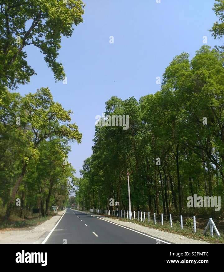 Beautiful dooars hi-res stock photography and images - Alamy