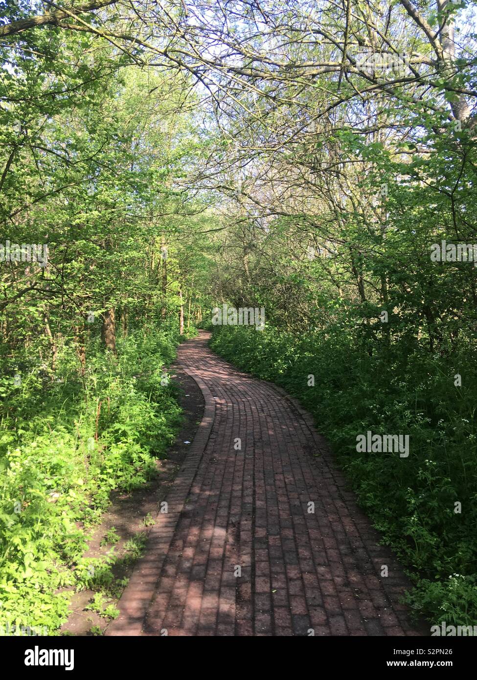 Path through a park in West London Stock Photo - Alamy