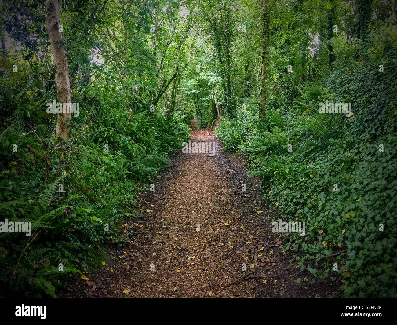 Thousand year old hi-res stock photography and images - Alamy