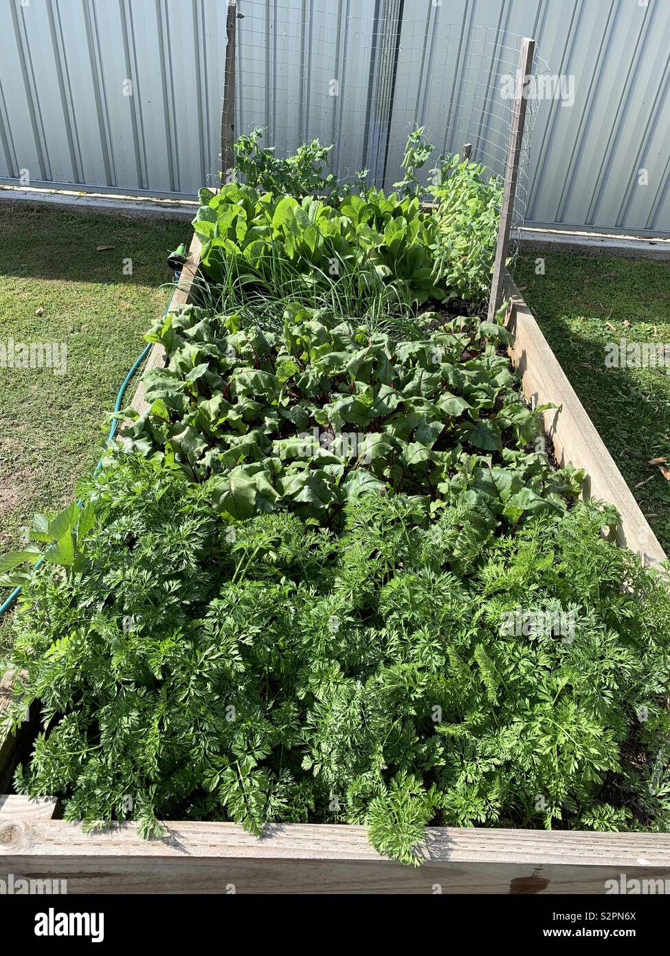 Grow Your Own High Resolution Stock Photography and Images - Alamy