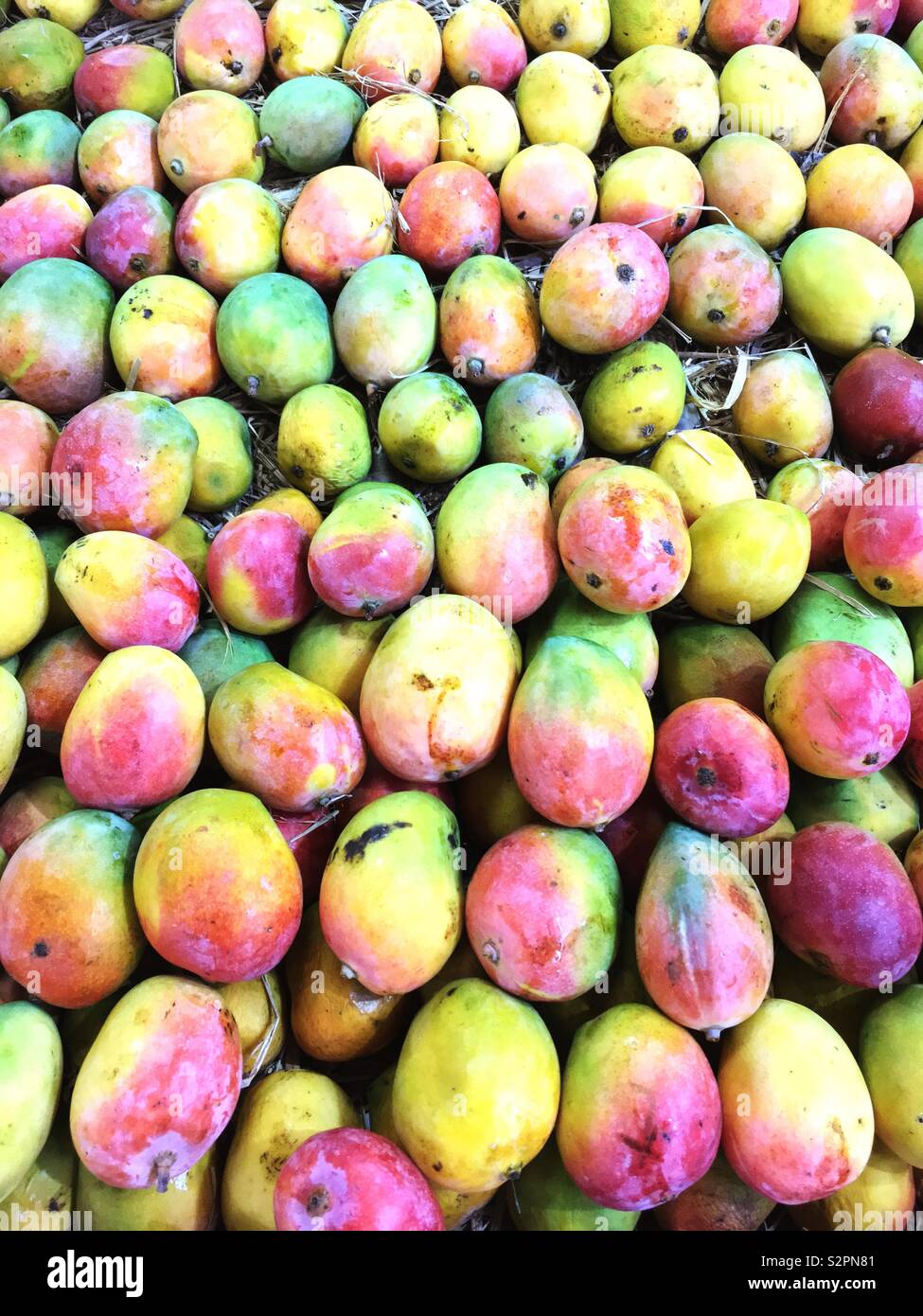 Mangoes are sweet hi-res stock photography and images - Alamy
