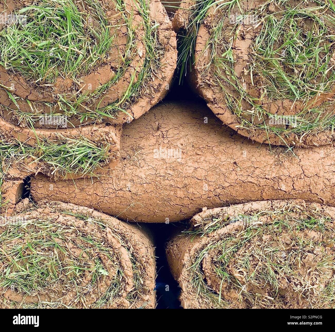 Turf Rolls High Resolution Stock Photography and Images - Alamy