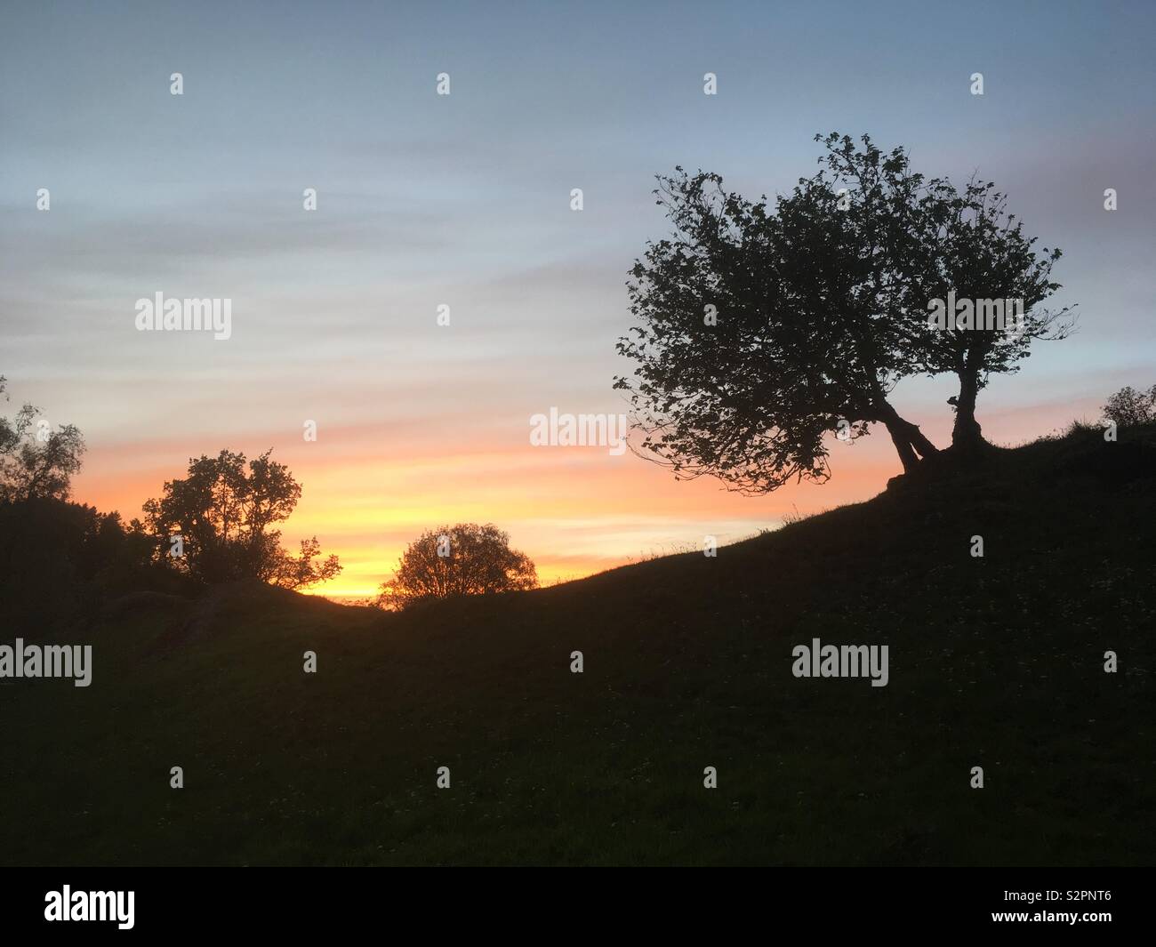 Sunset with Trees Stock Photo - Alamy