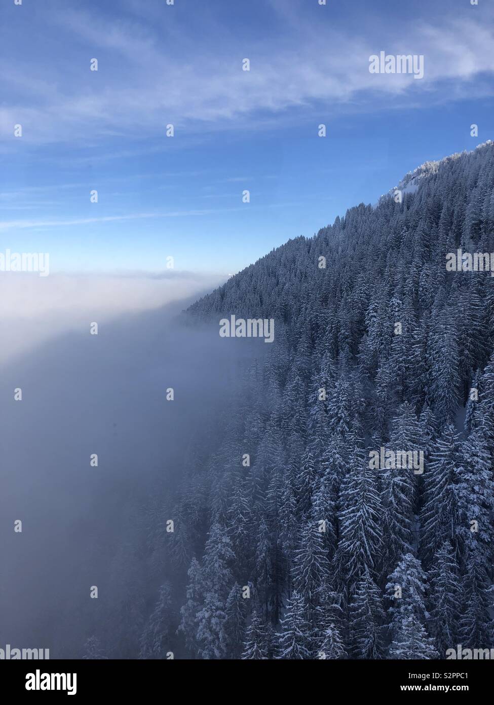 Fog over a snowy mountain forest in Switzerland Stock Photo - Alamy
