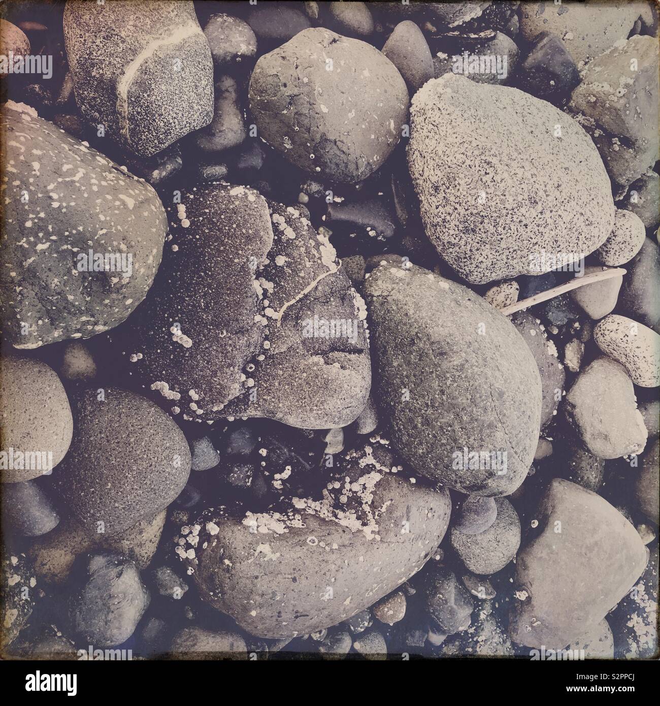Beach rocks detail hi-res stock photography and images - Alamy