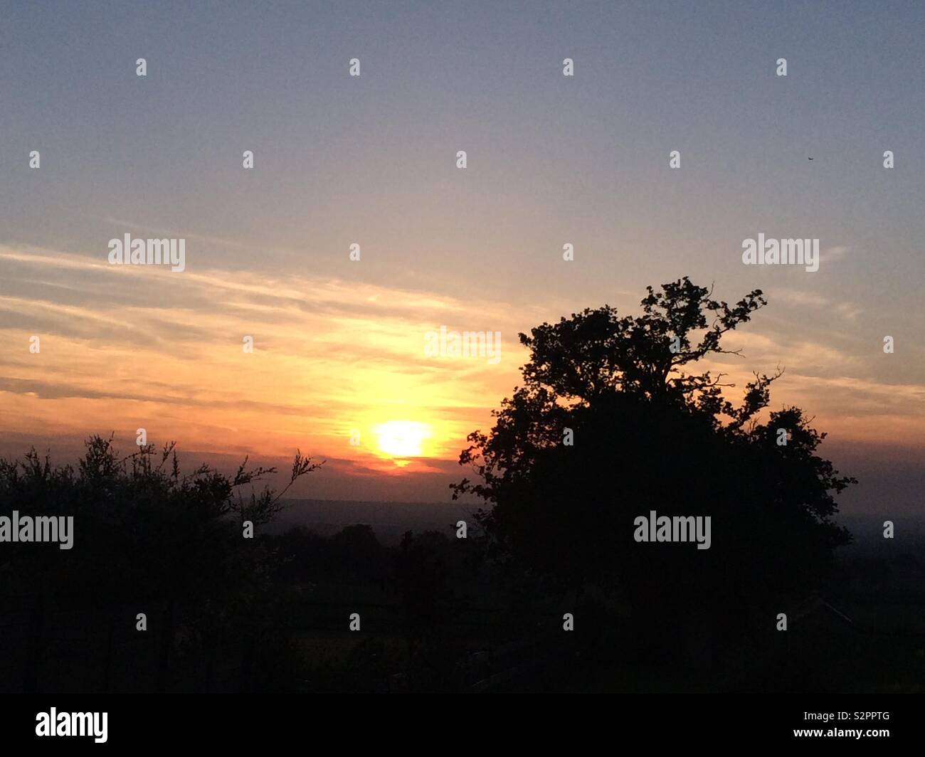 Fire sunset trees hi-res stock photography and images - Alamy