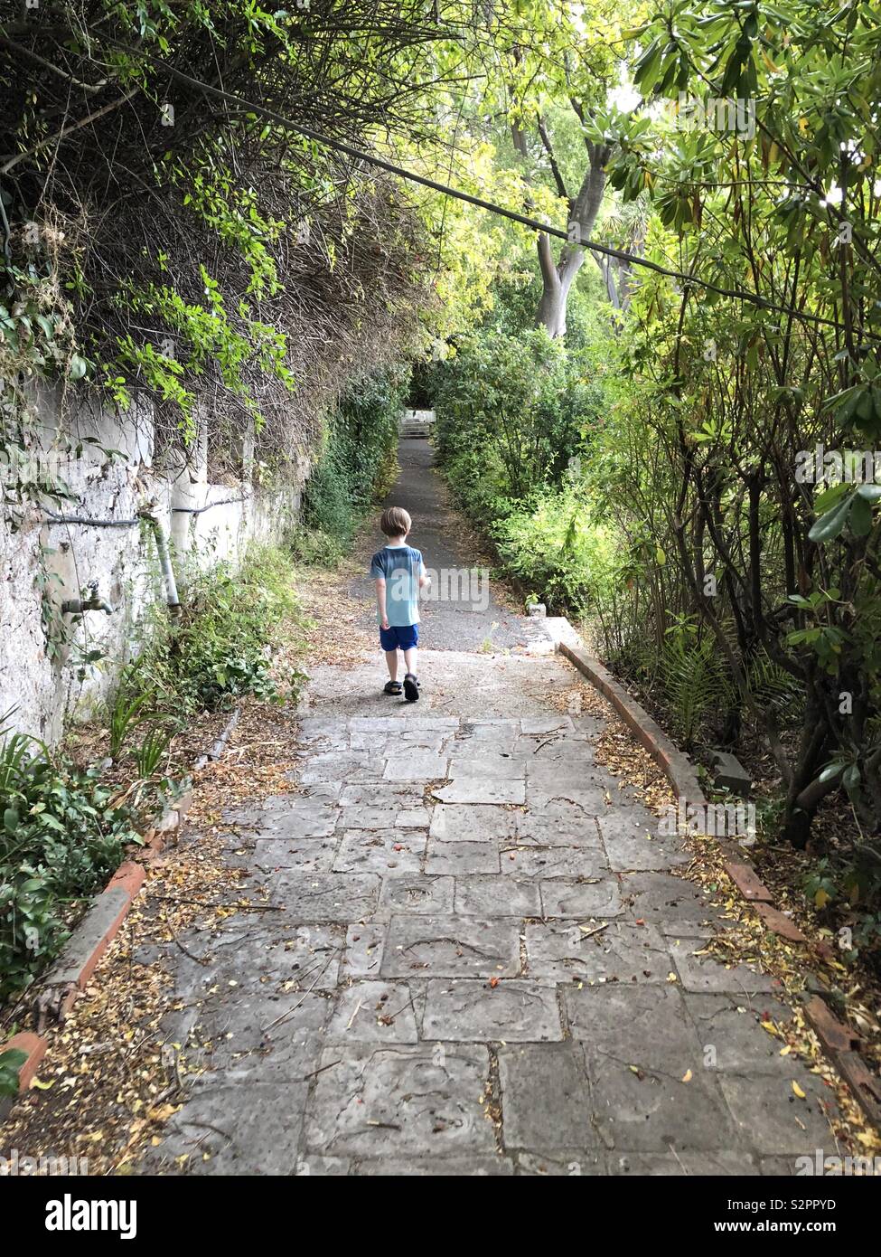 Little boy walking along a path surrounded by trees Stock Photo - Alamy