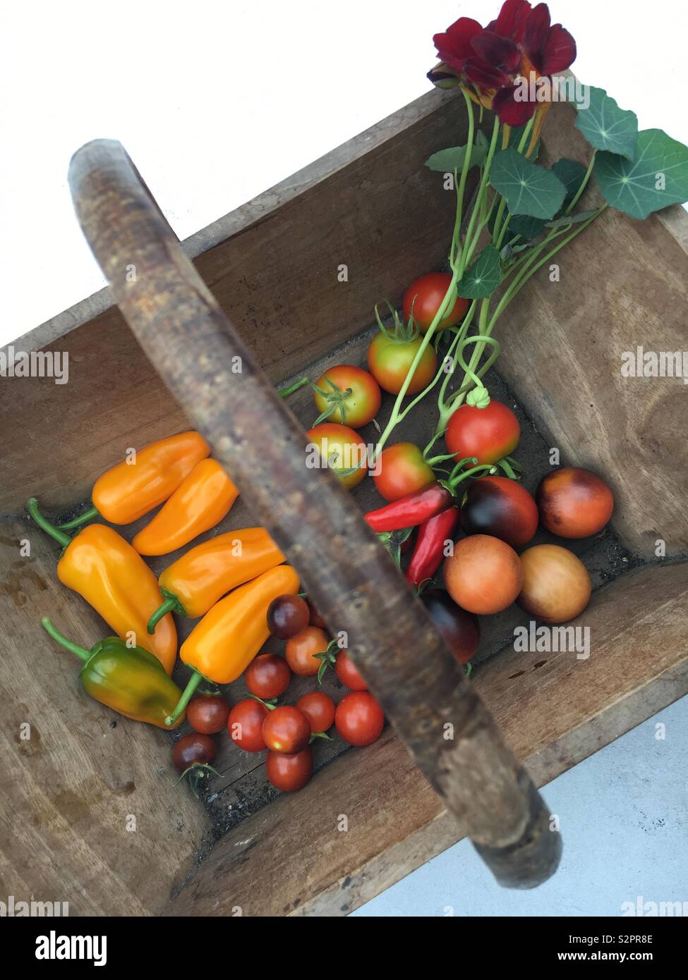 Trug of vegetables Stock Photo - Alamy