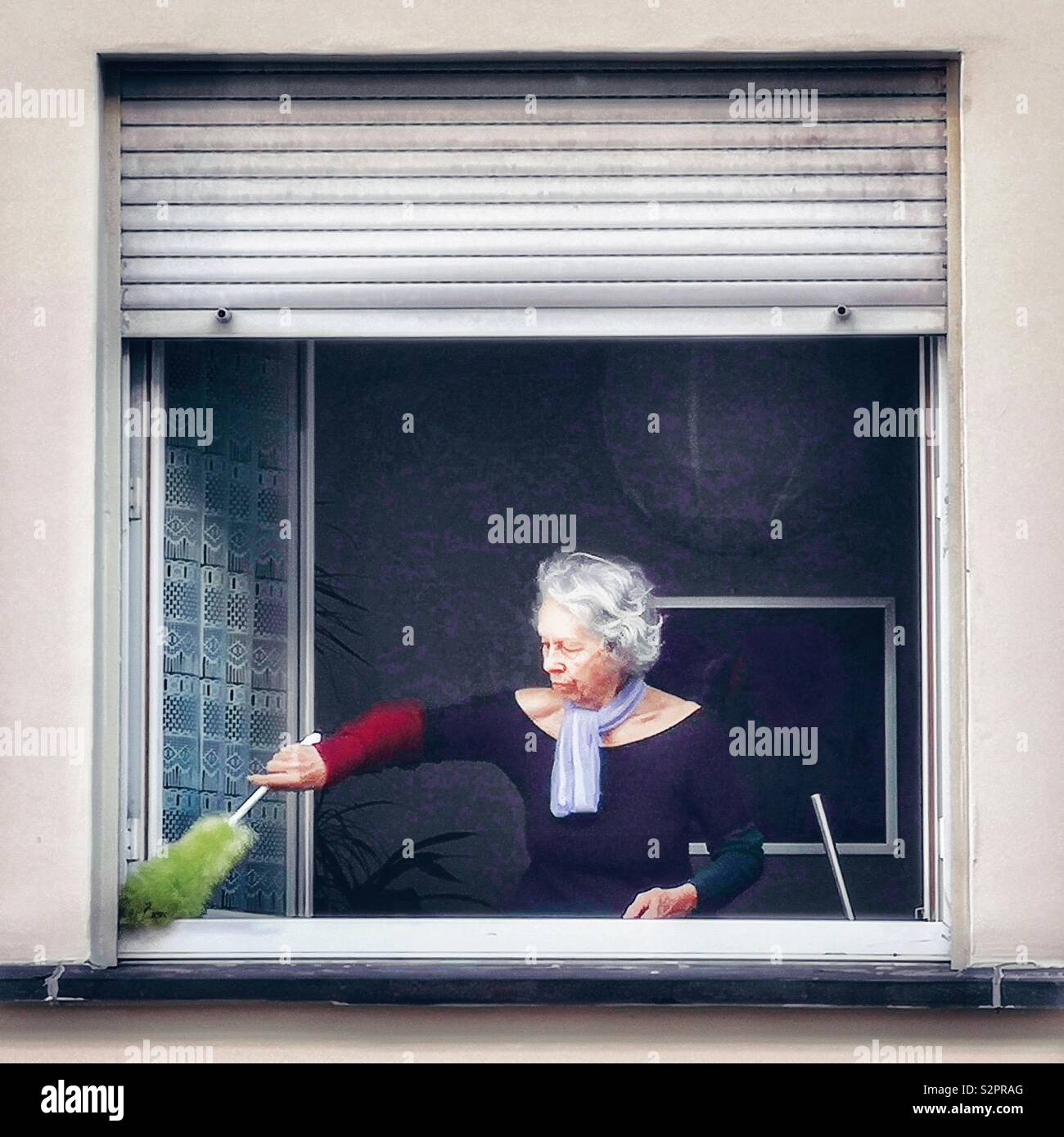 Elderly Brussels lady dusting her windowsill Stock Photo - Alamy