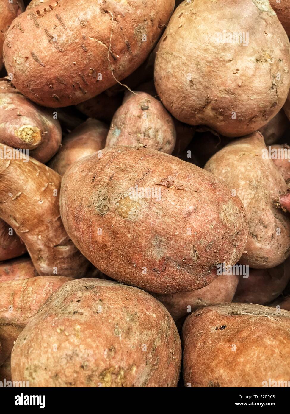 Full frame of farm fresh sweet potatoes Stock Photo - Alamy