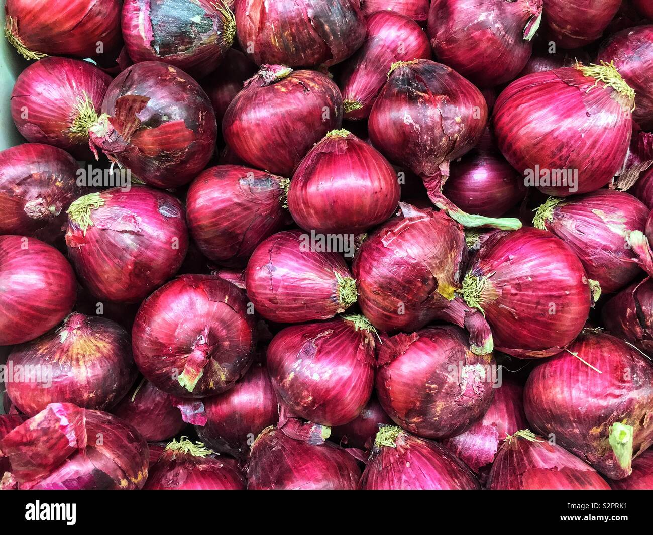 Perfect onions hi-res stock photography and images - Alamy