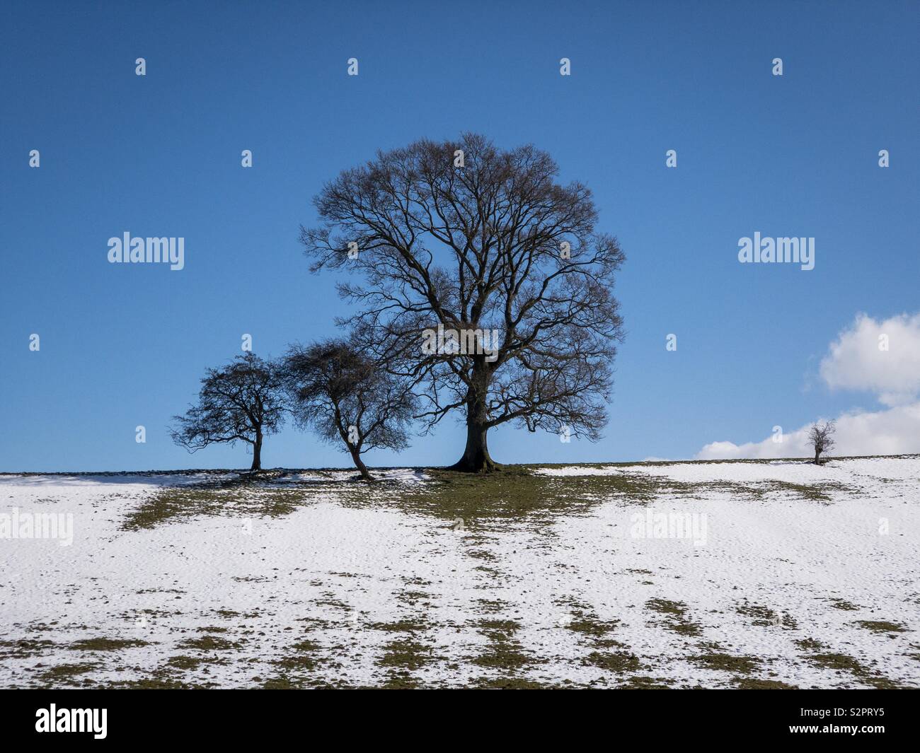 Appleby cumbria hi-res stock photography and images - Alamy