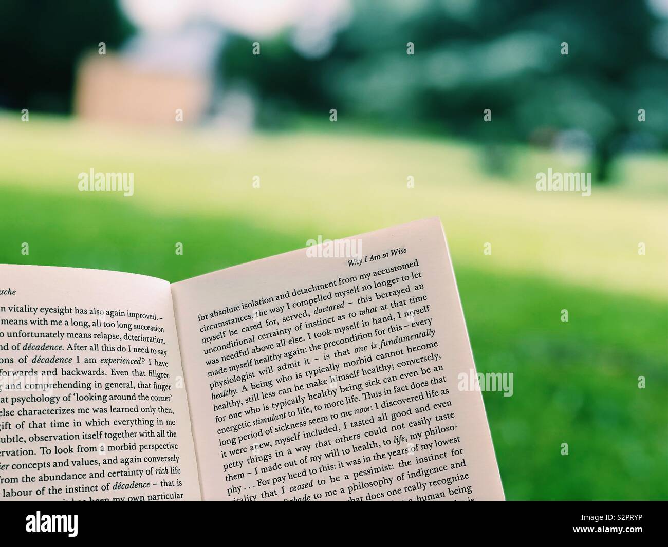 Reading a book Stock Photo - Alamy