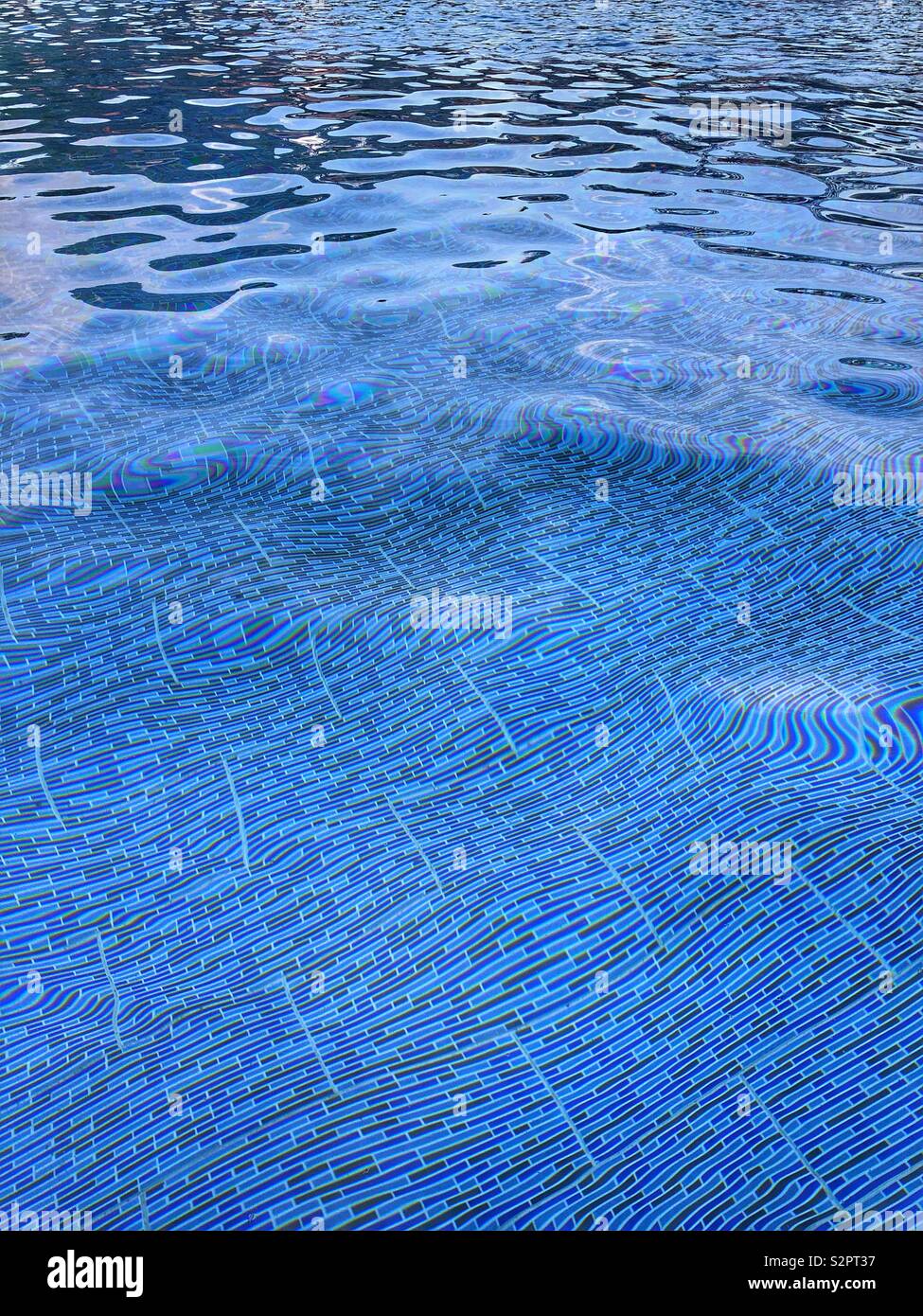 Real Illusions Reflections