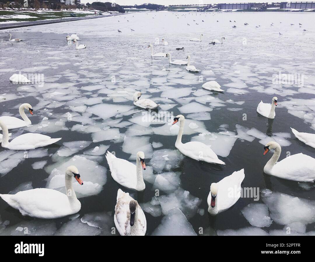 Cold knap barry hi-res stock photography and images - Alamy