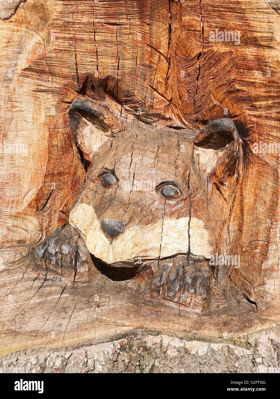 Tree trunk carving hi-res stock photography and images - Alamy