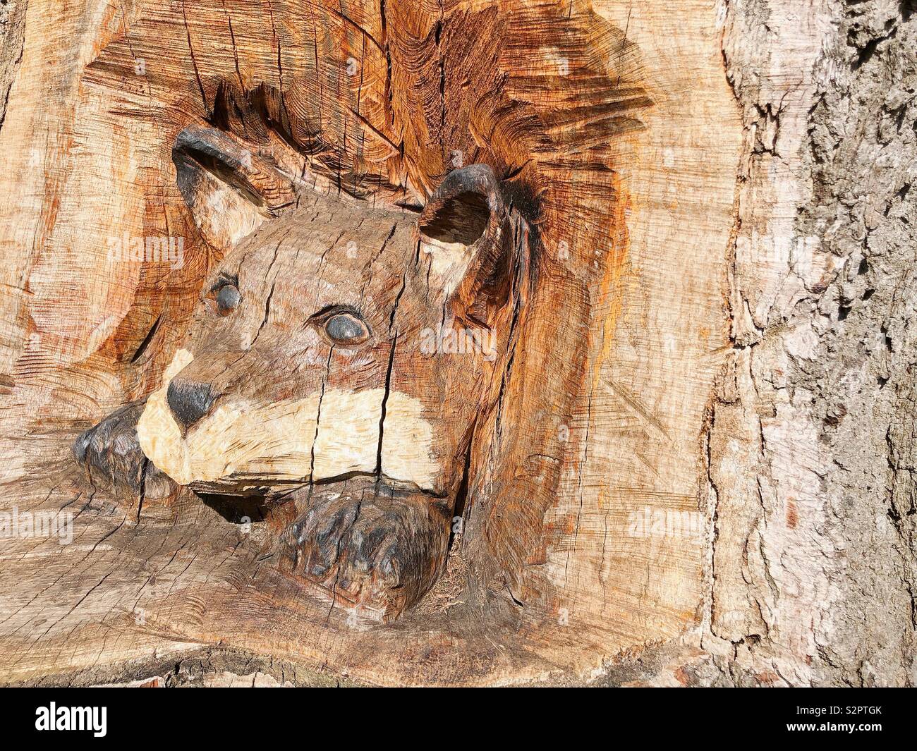 Fox Carving High Resolution Stock Photography and Images - Alamy