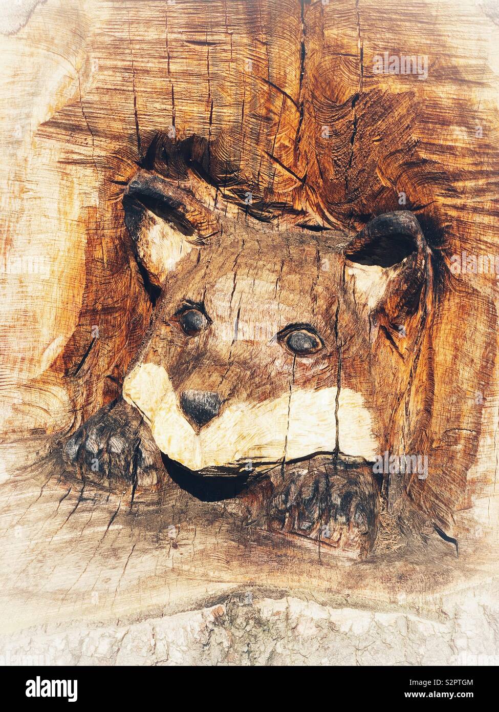 Wood carving of a Fox in a tree trunk Stock Photo - Alamy