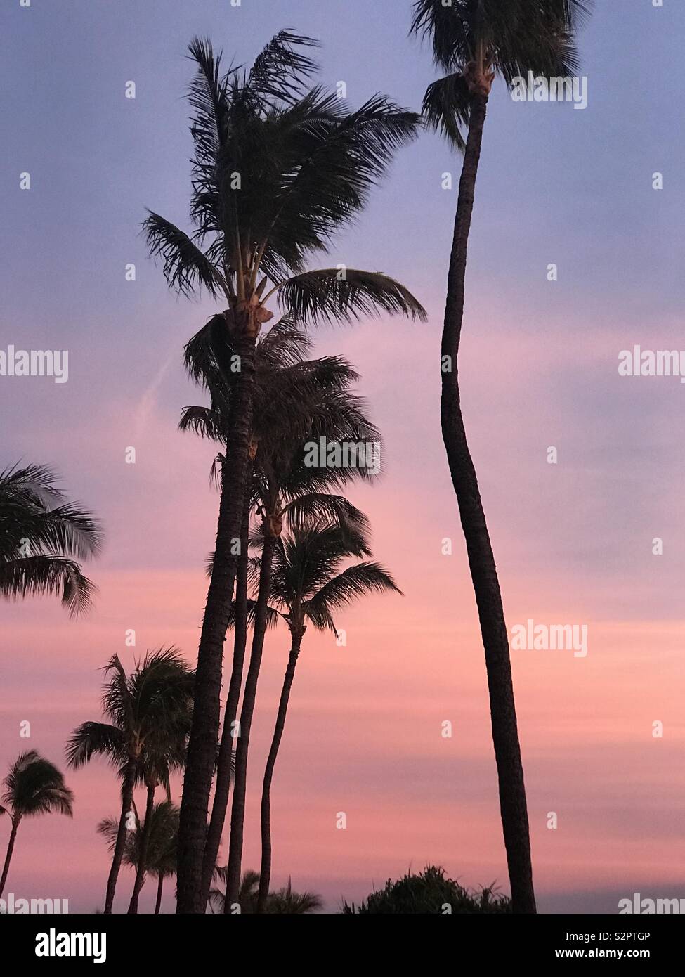 Maui sunset hi-res stock photography and images - Alamy