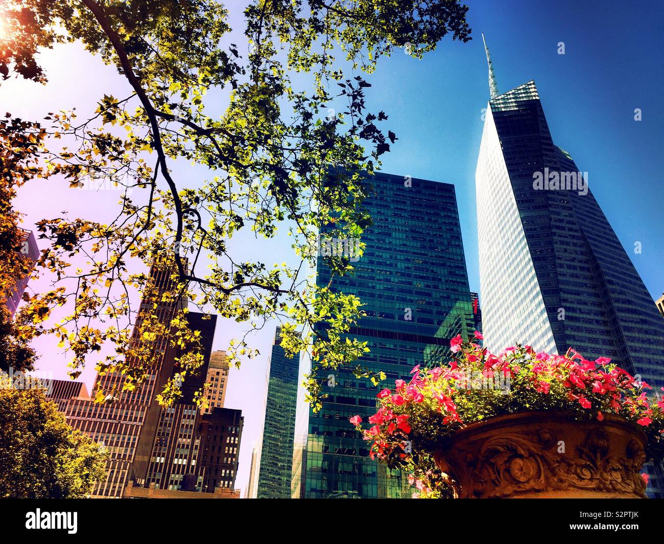 The bank of America tower and other skyscrapers as seen from Bryant ...