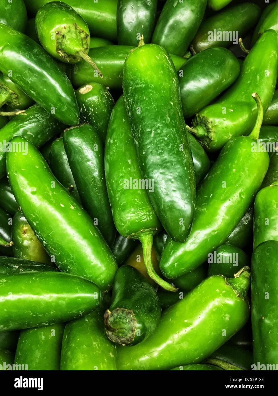 Full frame of many fresh ripe green jalapeño peppers Stock Photo - Alamy