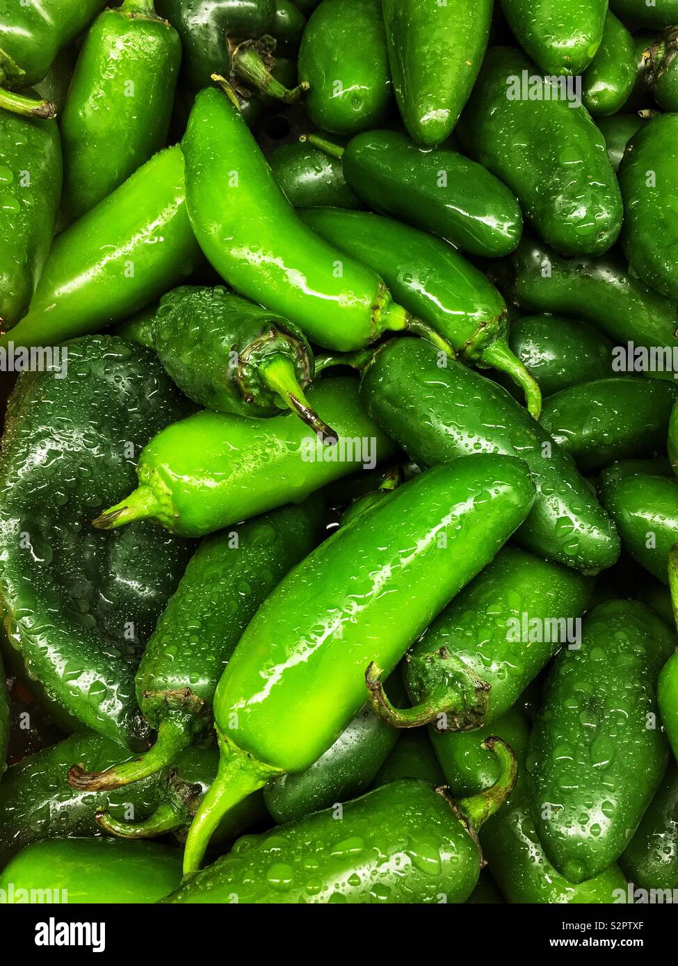 Poblano peppers hi-res stock photography and images - Alamy