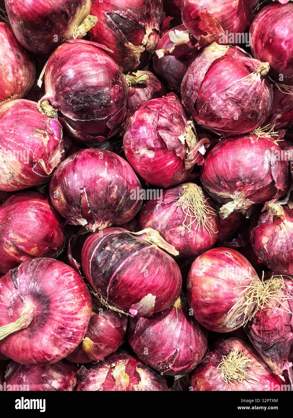 Full frame of many perfect ripe red onions Stock Photo - Alamy