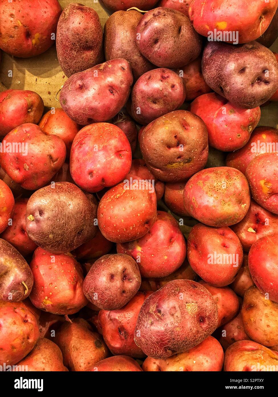 Tons of potatoes hi-res stock photography and images - Alamy