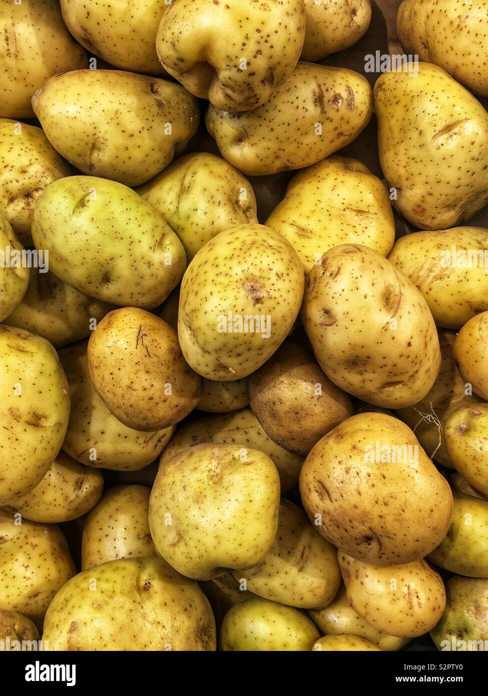 Tons of potatoes hi-res stock photography and images - Alamy
