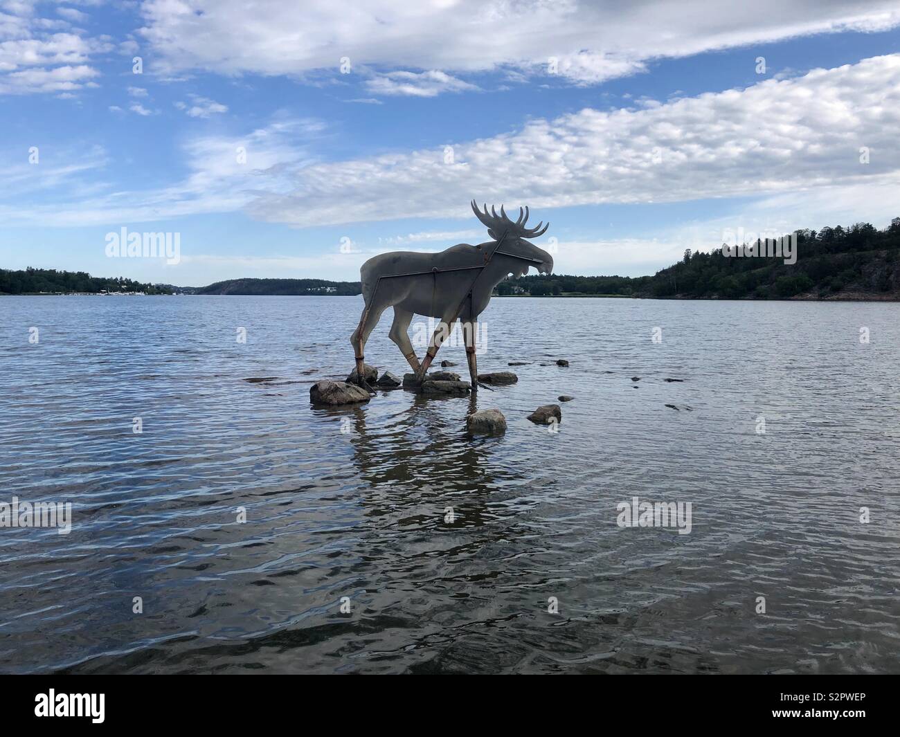 Moose water hi-res stock photography and images - Alamy