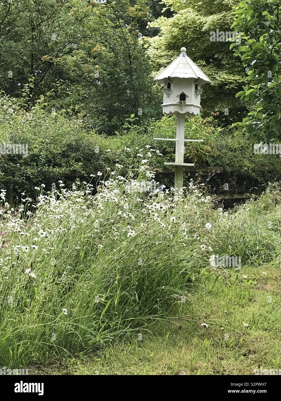 Dove cot hi-res stock photography and images - Alamy