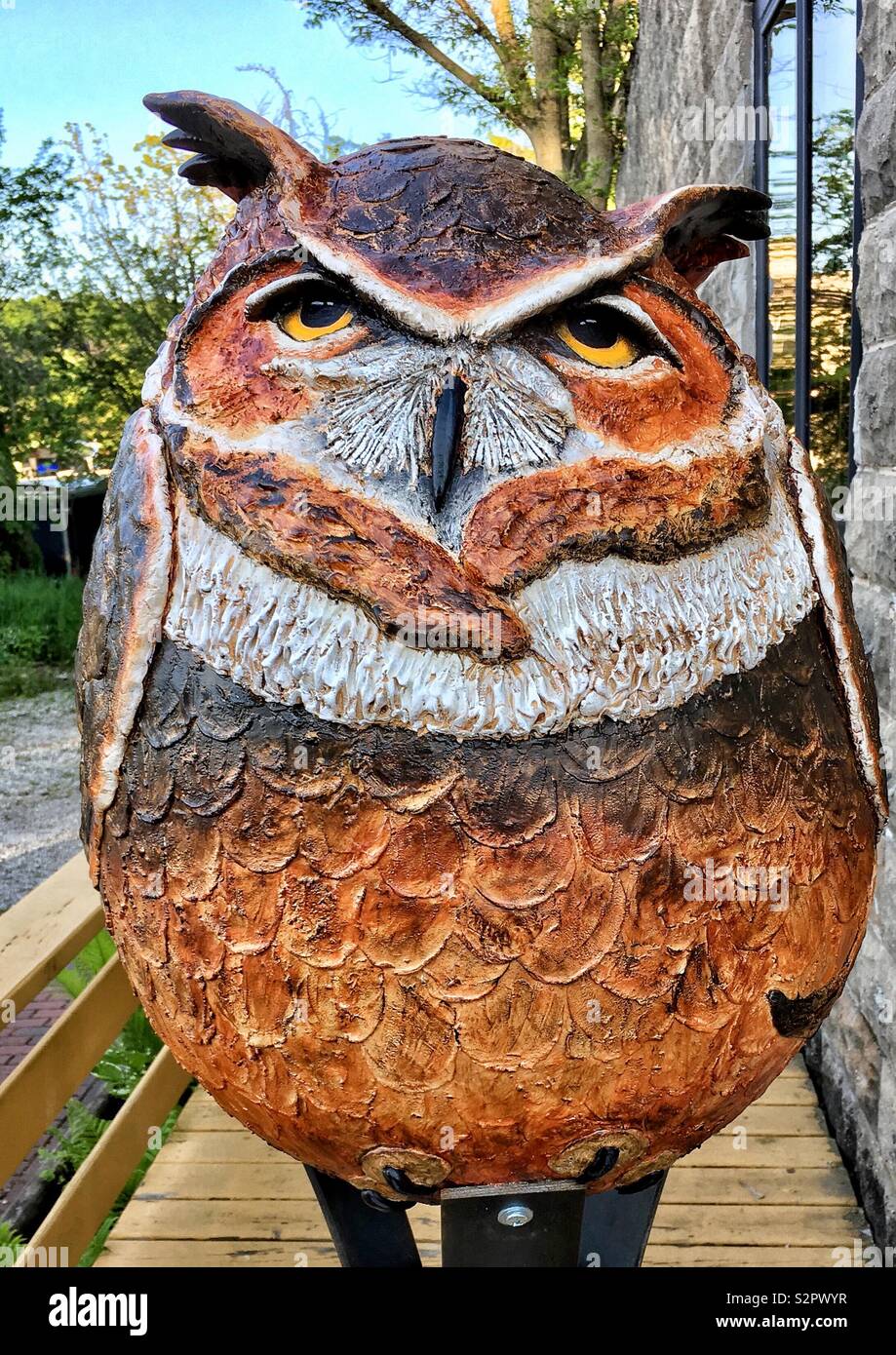 “Merlin” artwork by Deborah Perrino showcases an egg-shaped owl to ...