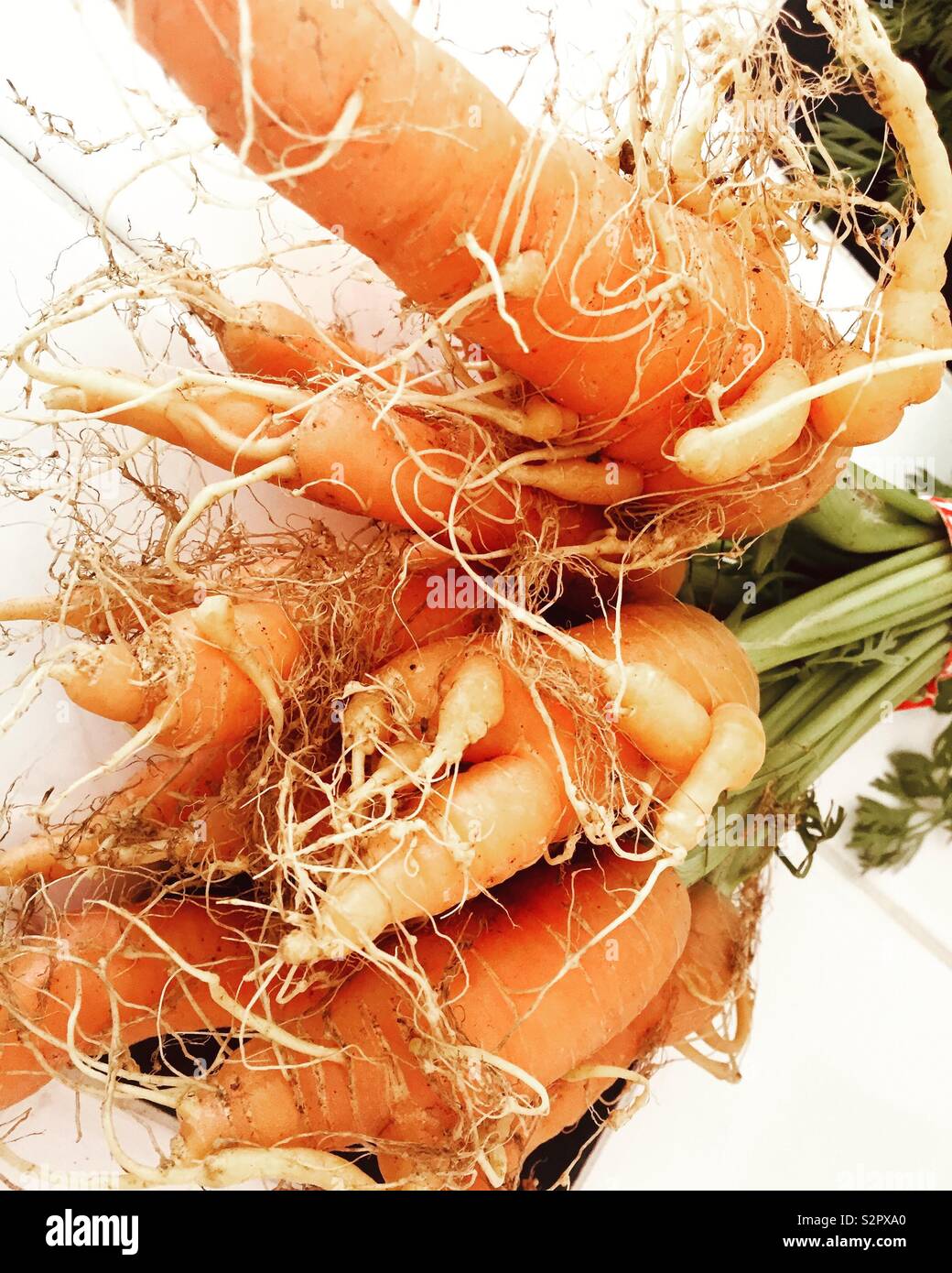 Misfit vegetables hi-res stock photography and images - Alamy