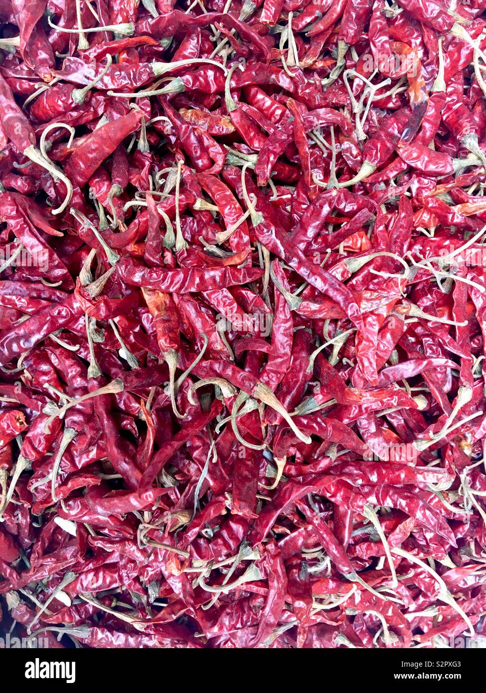 India chilly hi-res stock photography and images - Alamy