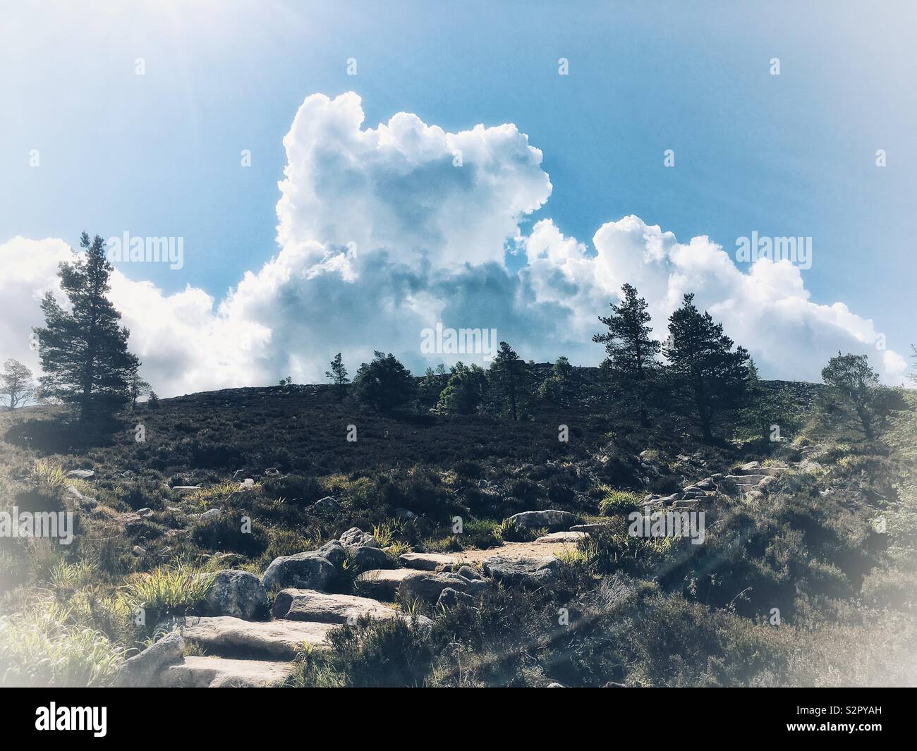 Bennachie hi-res stock photography and images - Alamy