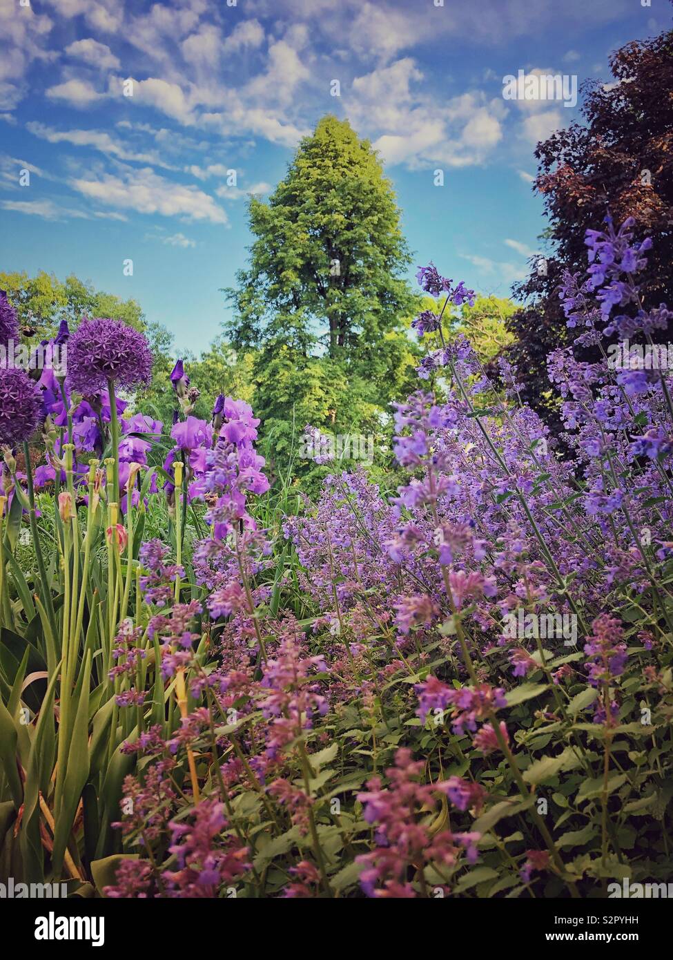 The colours of nature Stock Photo - Alamy