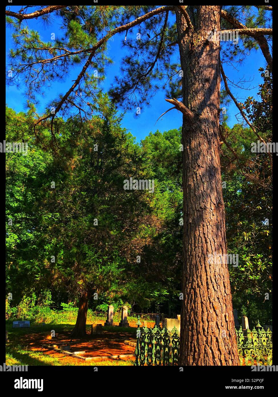 Small cemetery in the woods hi-res stock photography and images - Alamy