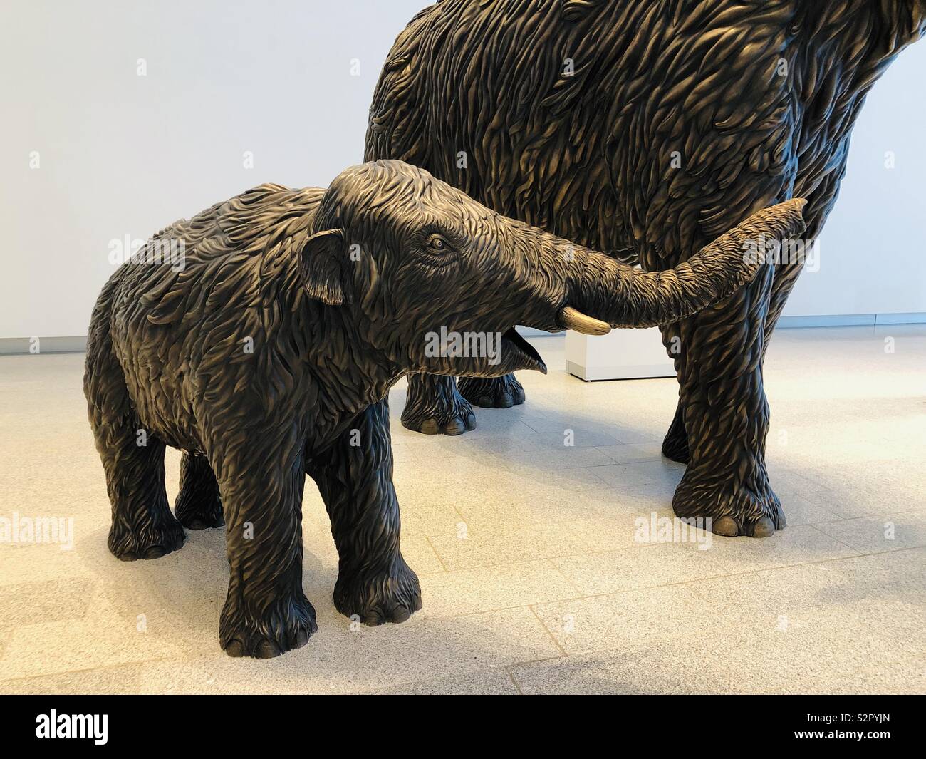 Mammoth Statue High Resolution Stock Photography and Images - Alamy