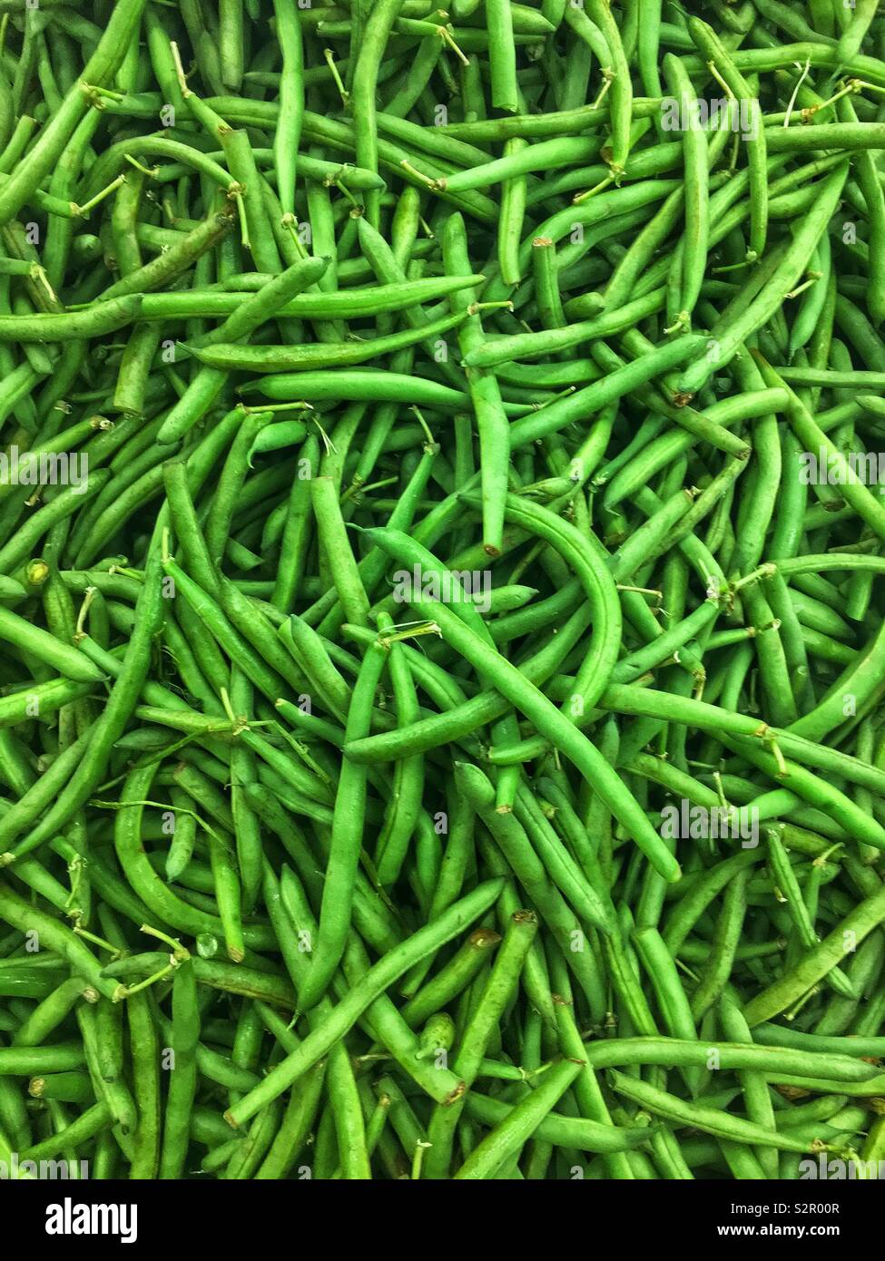 Haricot vert hi-res stock photography and images - Alamy