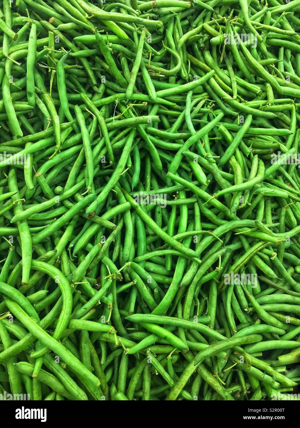 Haricot vert hi-res stock photography and images - Alamy
