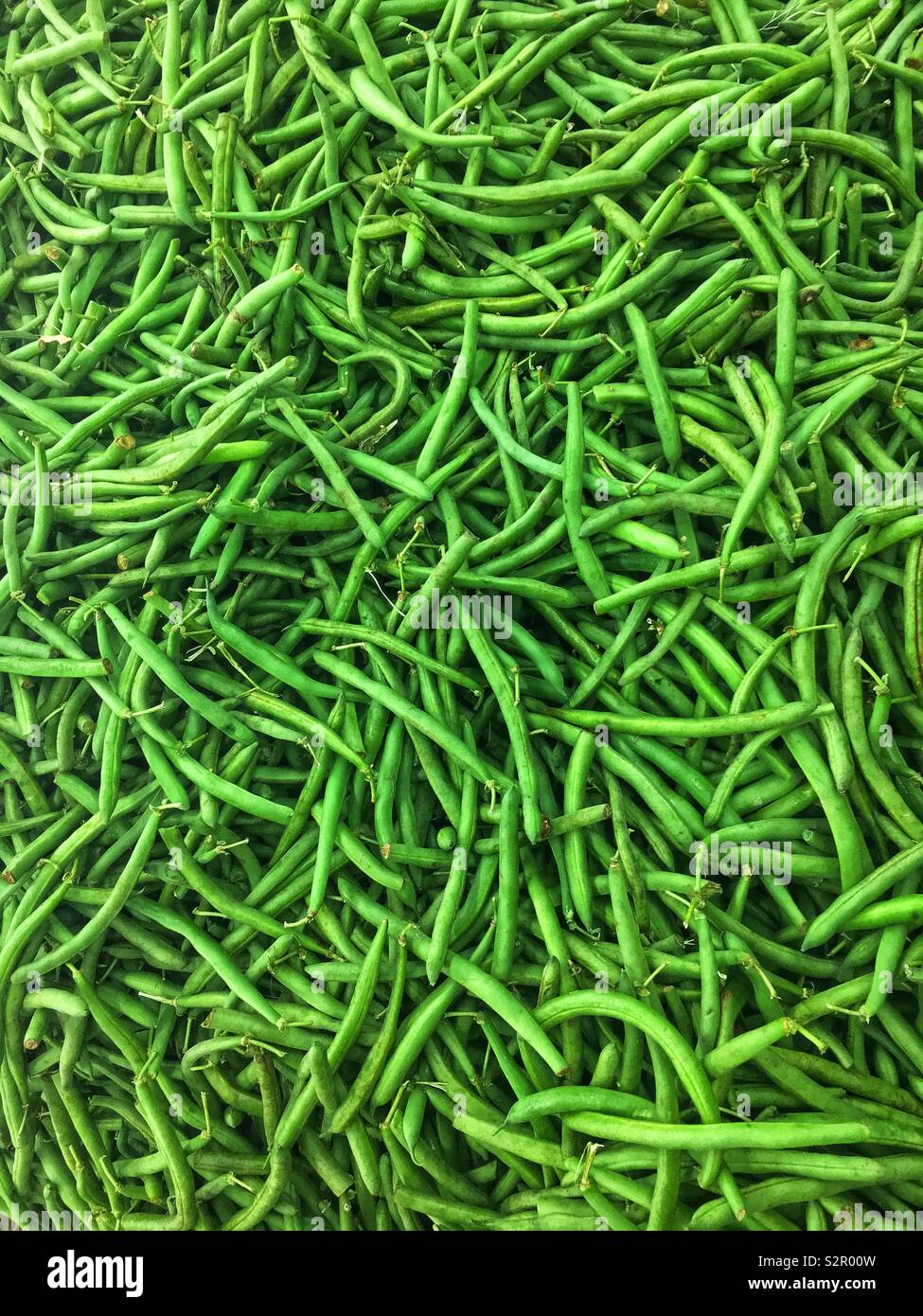 Haricot vert hi-res stock photography and images - Alamy