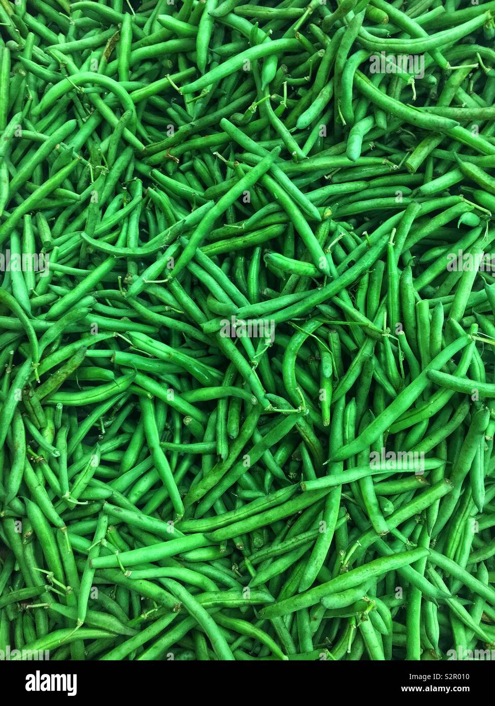 Haricot vert hi-res stock photography and images - Alamy
