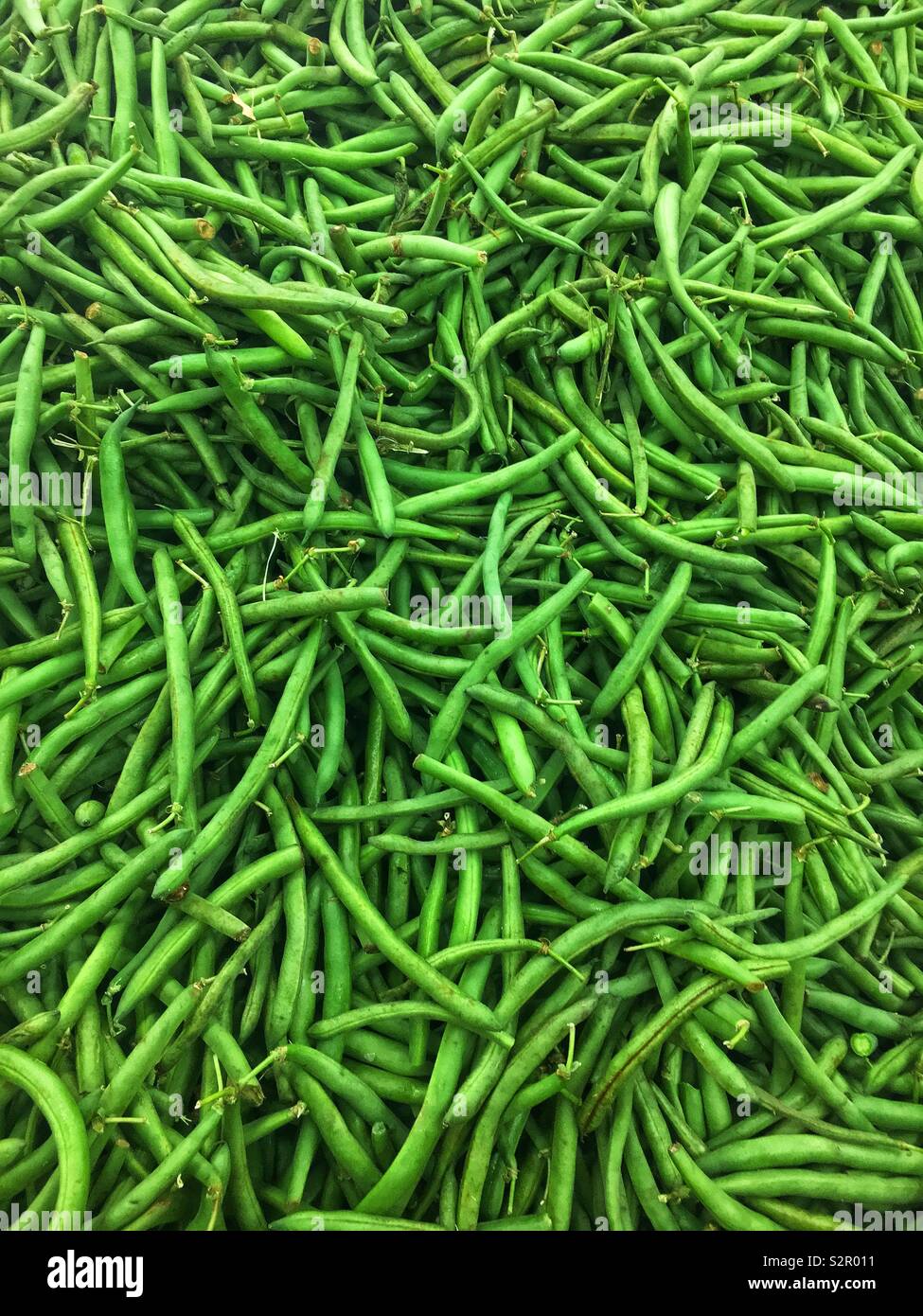 Haricot vert hi-res stock photography and images - Alamy
