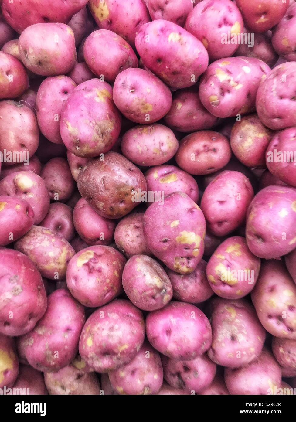 Tons of red hi-res stock photography and images - Alamy