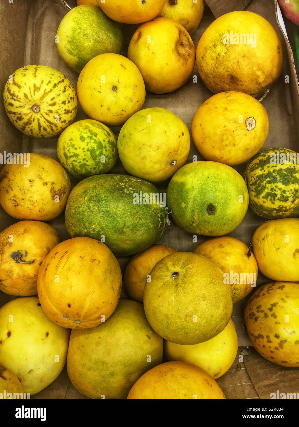 Dosakai melons hi-res stock photography and images - Alamy