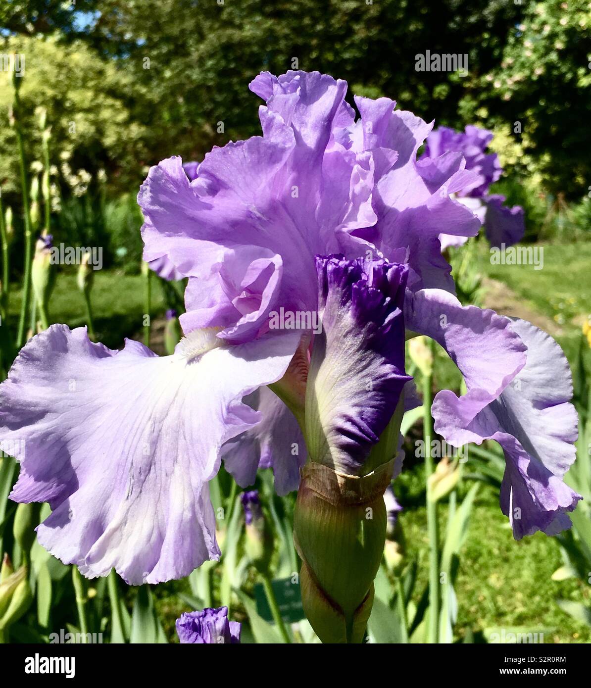 Paris 2019 hi-res stock photography and images - Alamy